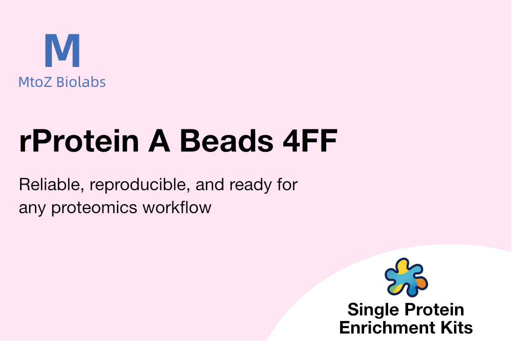 MS-compatible Magnetic Kit (Protein A/G)