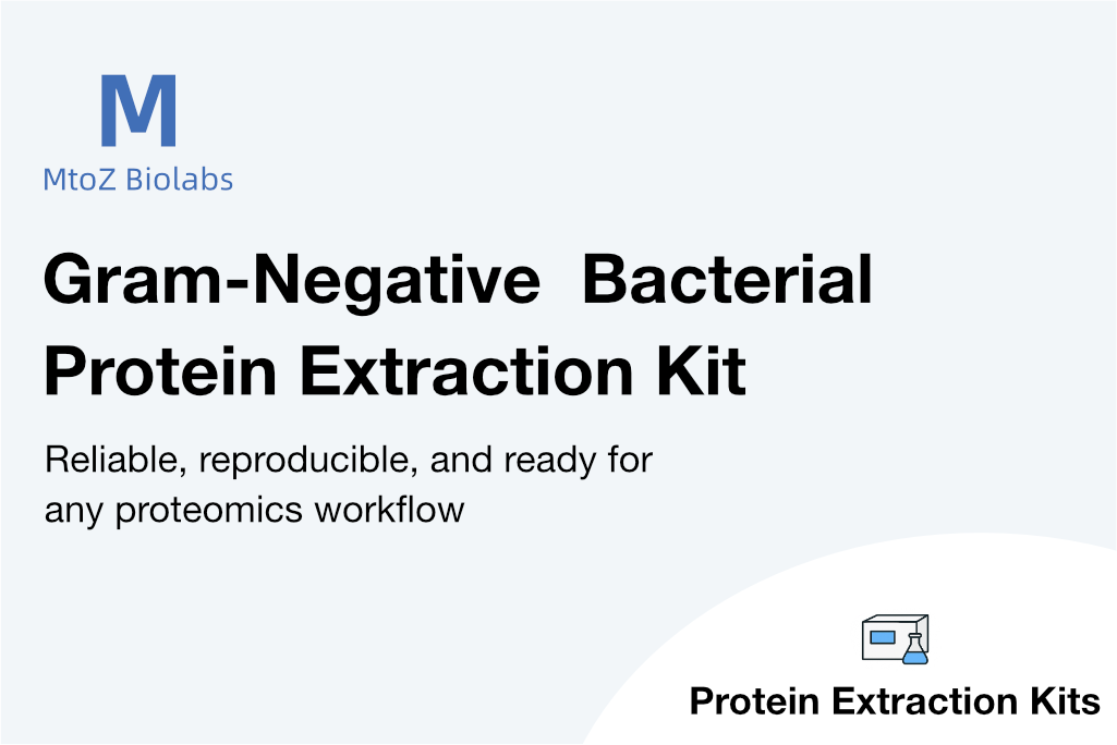 Gram-Negative Bacterial Protein Extraction Kit