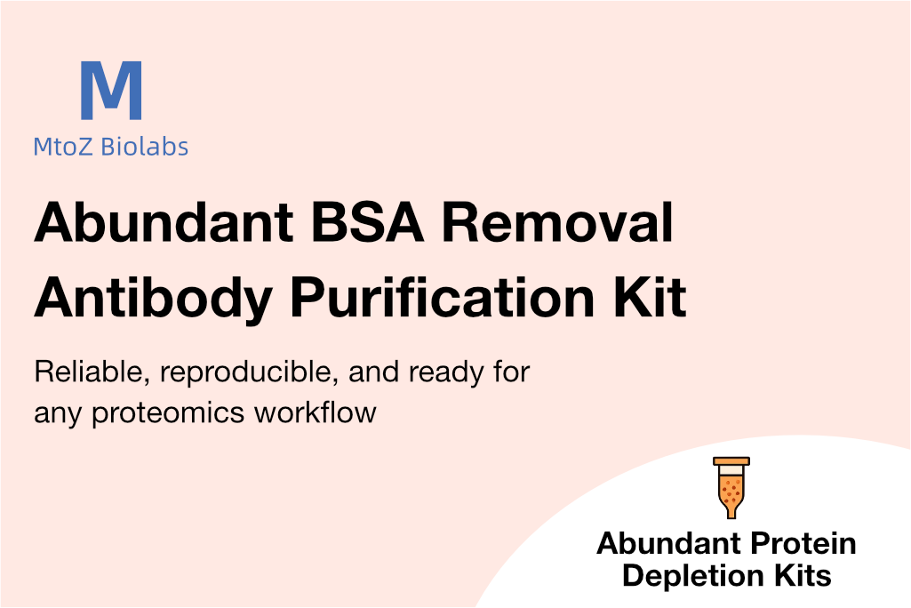 Abundant BSA Removal Antibody Purification Kit